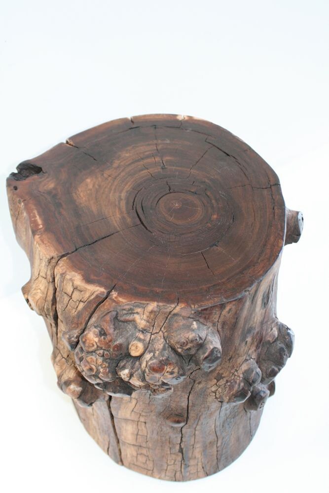 Walnut Tree Stump Stool Table Footstool Seat