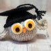 Graduation Owl Knit Owl with Graduation Cap by SweetBauerKnits