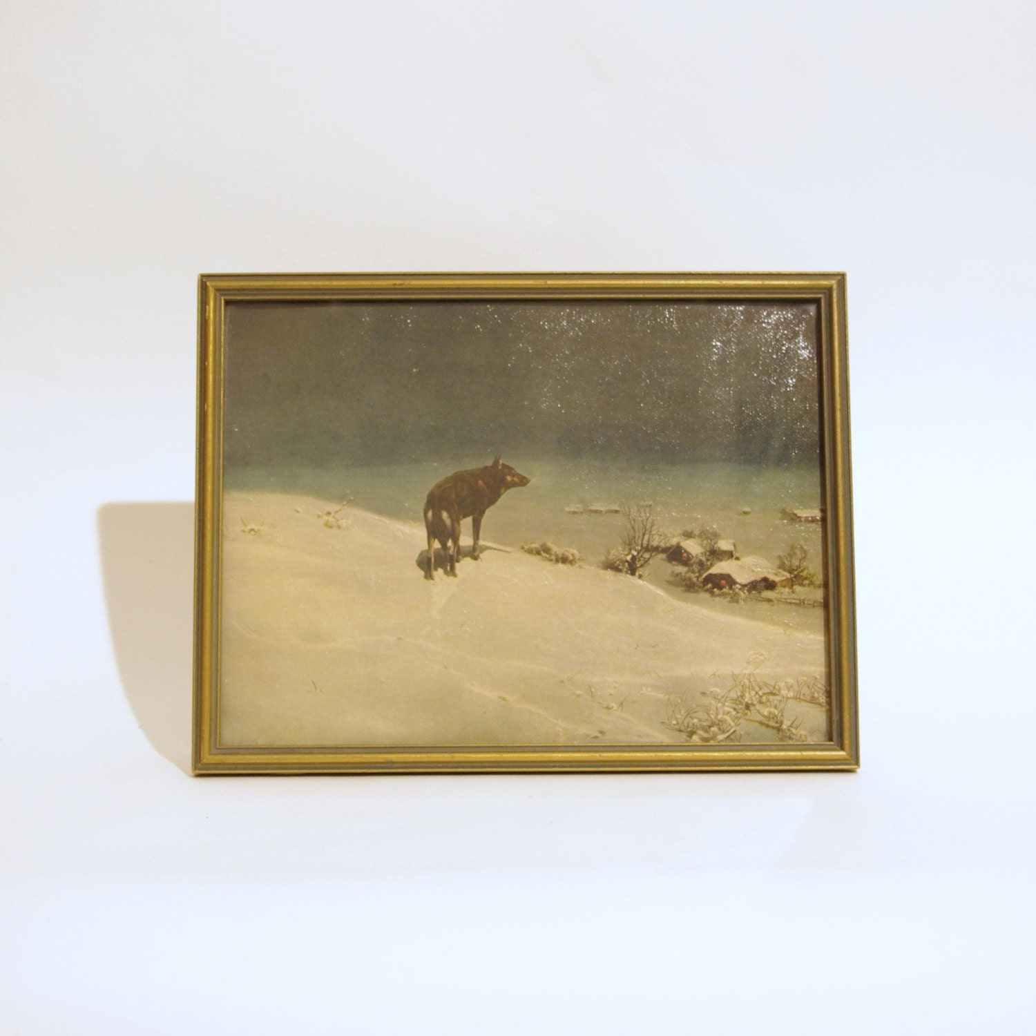 The Lone Wolf Vintage Framed Print By Artist Alfred