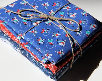 Western Fabric Bundle #2