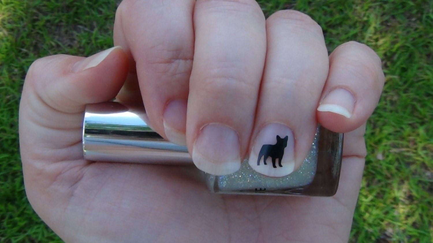 FRENCH BULLDOG Nail Art Decals Set of 50 Vinyl by TrinityNails