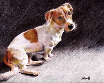 Jack russell drawing | Etsy