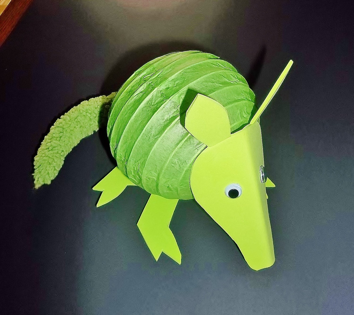ARMADILLO Craft Kit