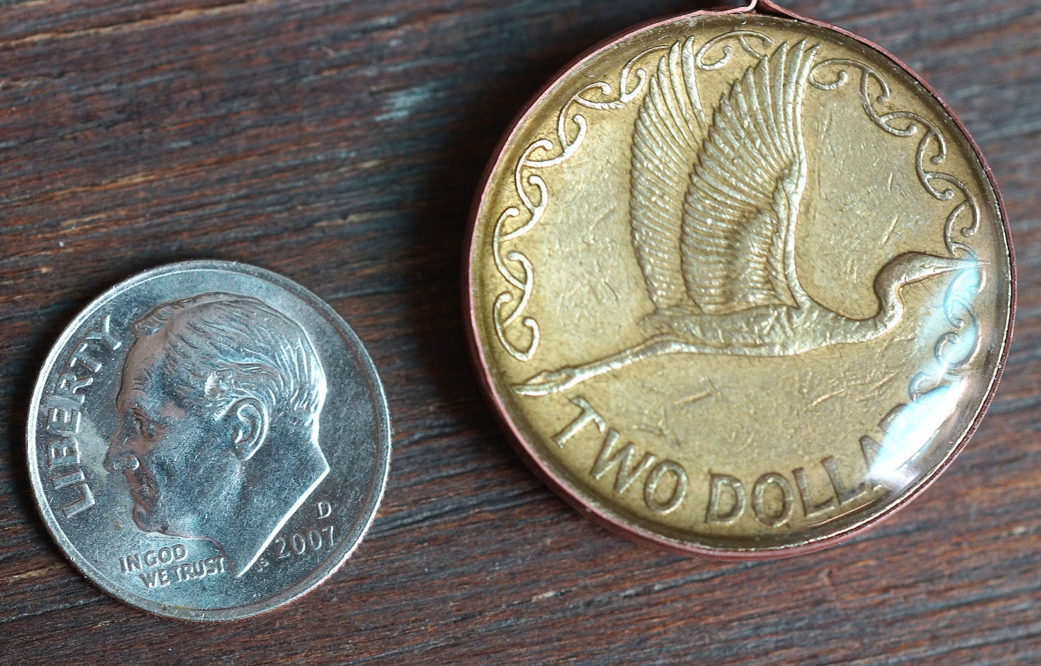 New Zealand Egret Coin Pendant by Lorinda3LJewelry on Etsy