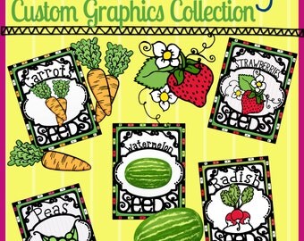 Watermelon radish | Etsy