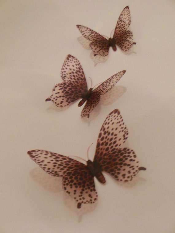 Cheetah Butterfly Tattoos