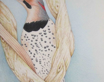 Bird pencil drawing | Etsy