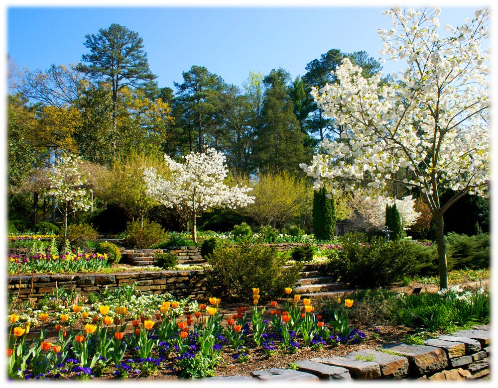 Springtime at Duke Gardens Durham North Carolina Photography