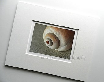 Matted Print - Custom Matting - 11x14 White Mat - Matted Photography ...