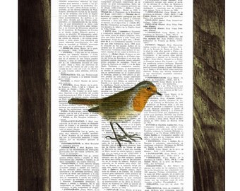 Popular items for robin bird print on Etsy