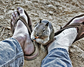 Squirrel feet | Etsy