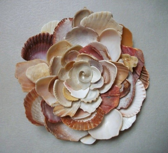 Items similar to 22 Large Scallop Shells for decorative shell art and ...