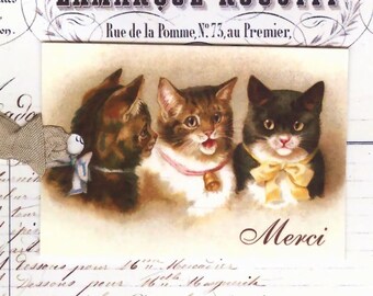 Cat Gift Tags Kittens Merci Tags Vintage Cats Thank You