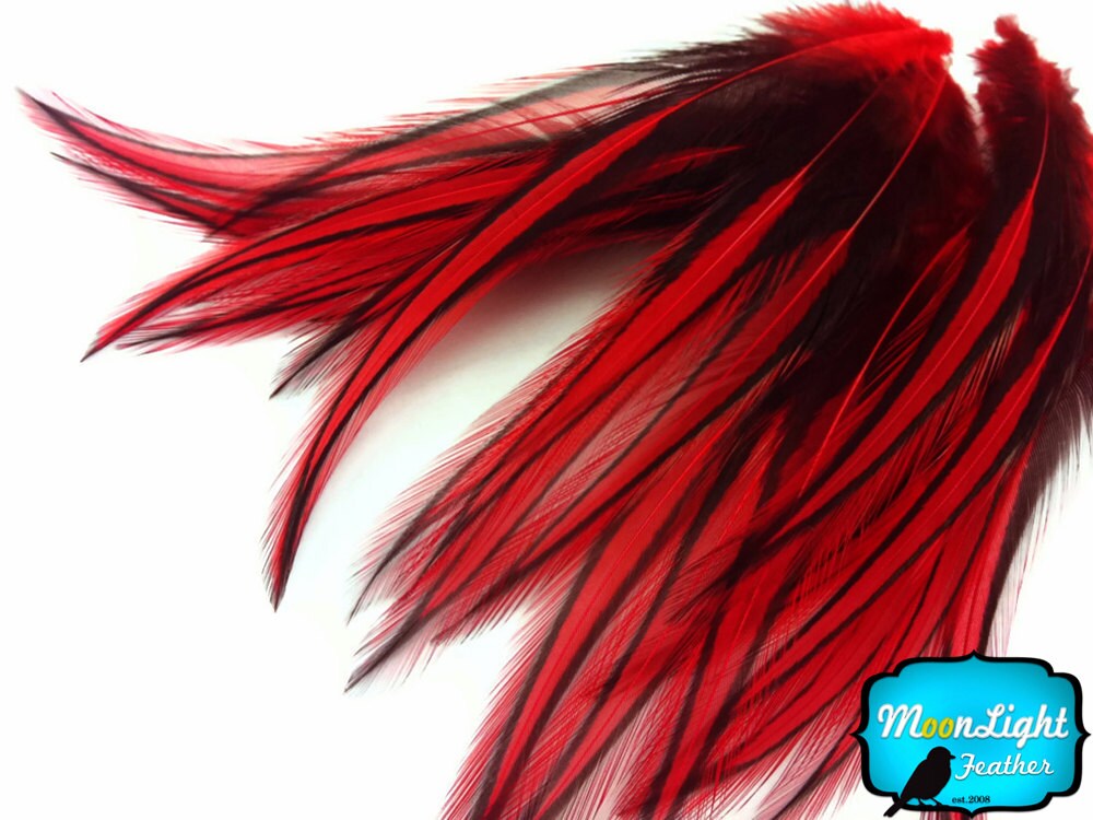 Red Laced Pointy Feathers 10 Pieces RED Laced Long Rooster