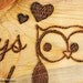 Owl Plaque Cute Rustic Personalized Wall Gift by thatfamilyshop