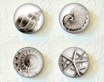 Popular items for shell magnets on Etsy