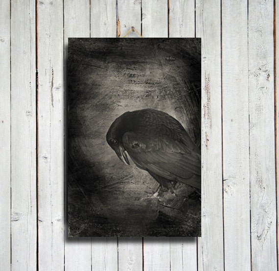 The Raven Gothic style art Raven photography Raven art