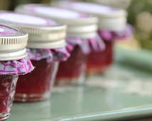 Popular items for raspberry jam on Etsy