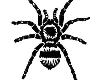 Popular items for spider decals on Etsy