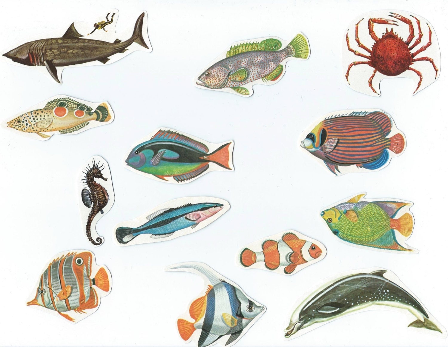 Paquete para collage de recortes de peces