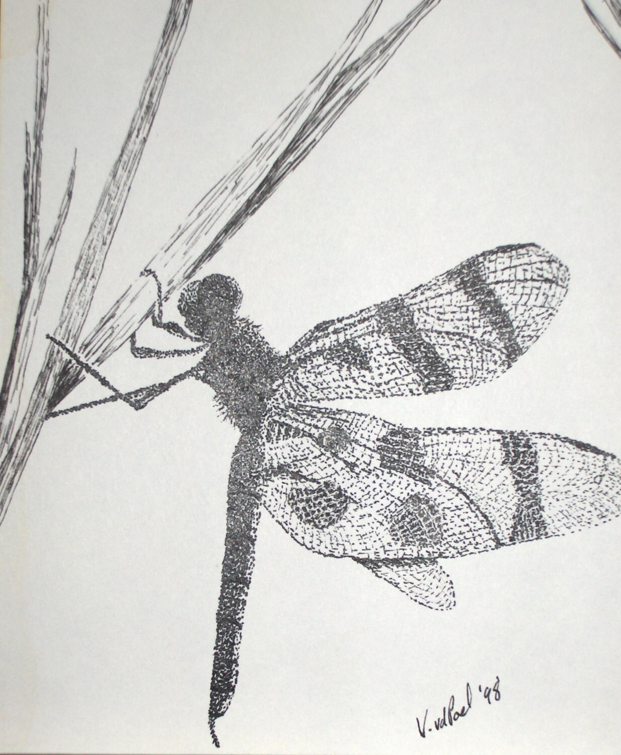 Clinging dragonfly in pen & ink stippling by MellowoodArtGallery Clinging dragonfly in pen & ink stippling by MellowoodArtGallery