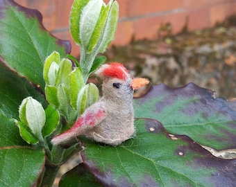Female cardinal | Etsy