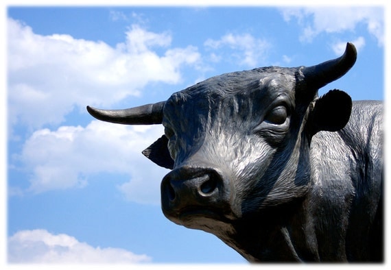 Durham Bull Statue Downtown Durham North Carolina