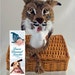 Crochet Pattern 084 Bobcat Earflap Beanie Hat All Sizes