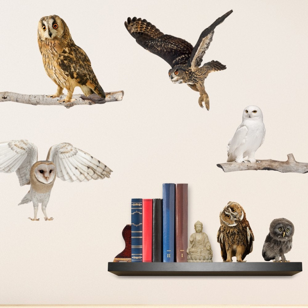 Realistic Owls Wall Decals
