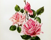 Vintage Ephemera and Instant Downloads PNG by acabinetofcuriositie