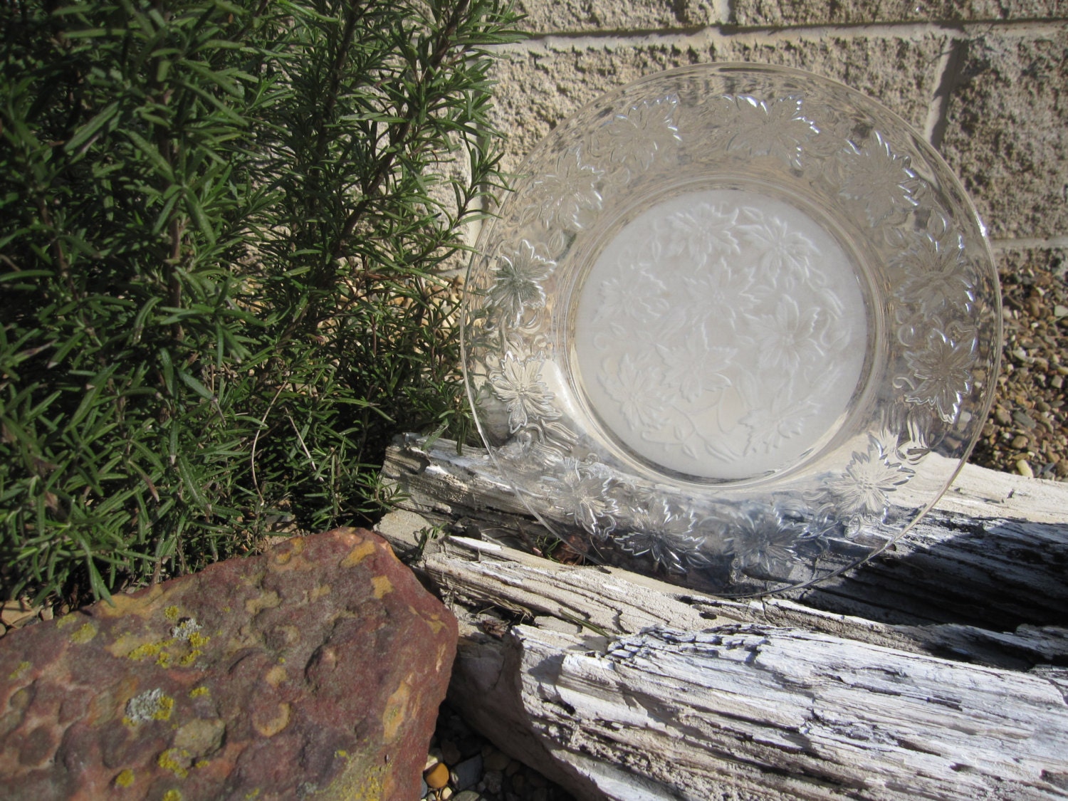 6 inch glass plate with embossed flowers – Haute Juice