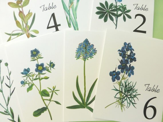 Blue Flower Table Numbers Blue Flower Table Cards Vintage