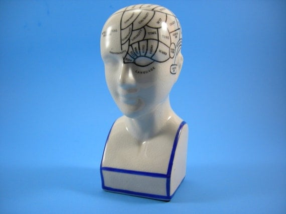 Bust / Head Statue with Map of the Human Brain Functions