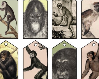 Popular items for vintage monkey on Etsy