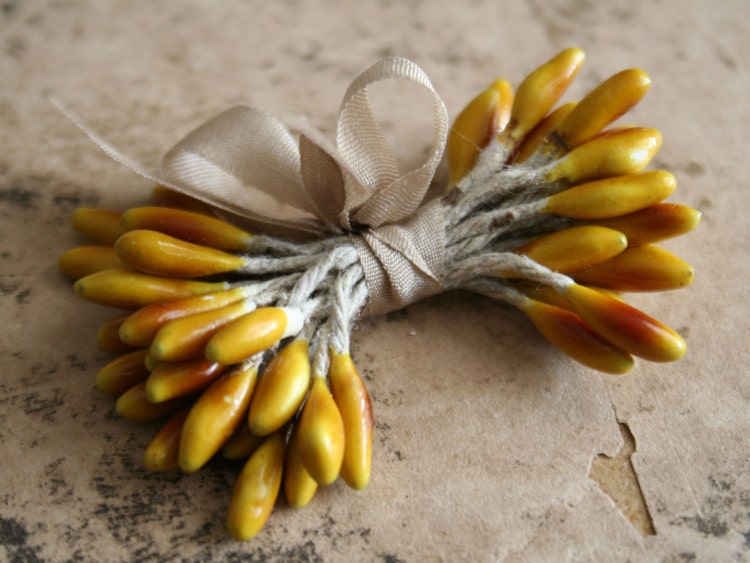Tiny Glossy Mustard Yellow Double Ended Stamens by juliecollings