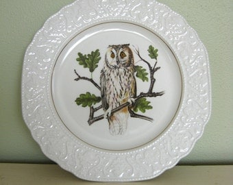 Popular items for owl plate on Etsy
