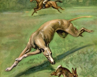 Popular items for vintage greyhound on Etsy