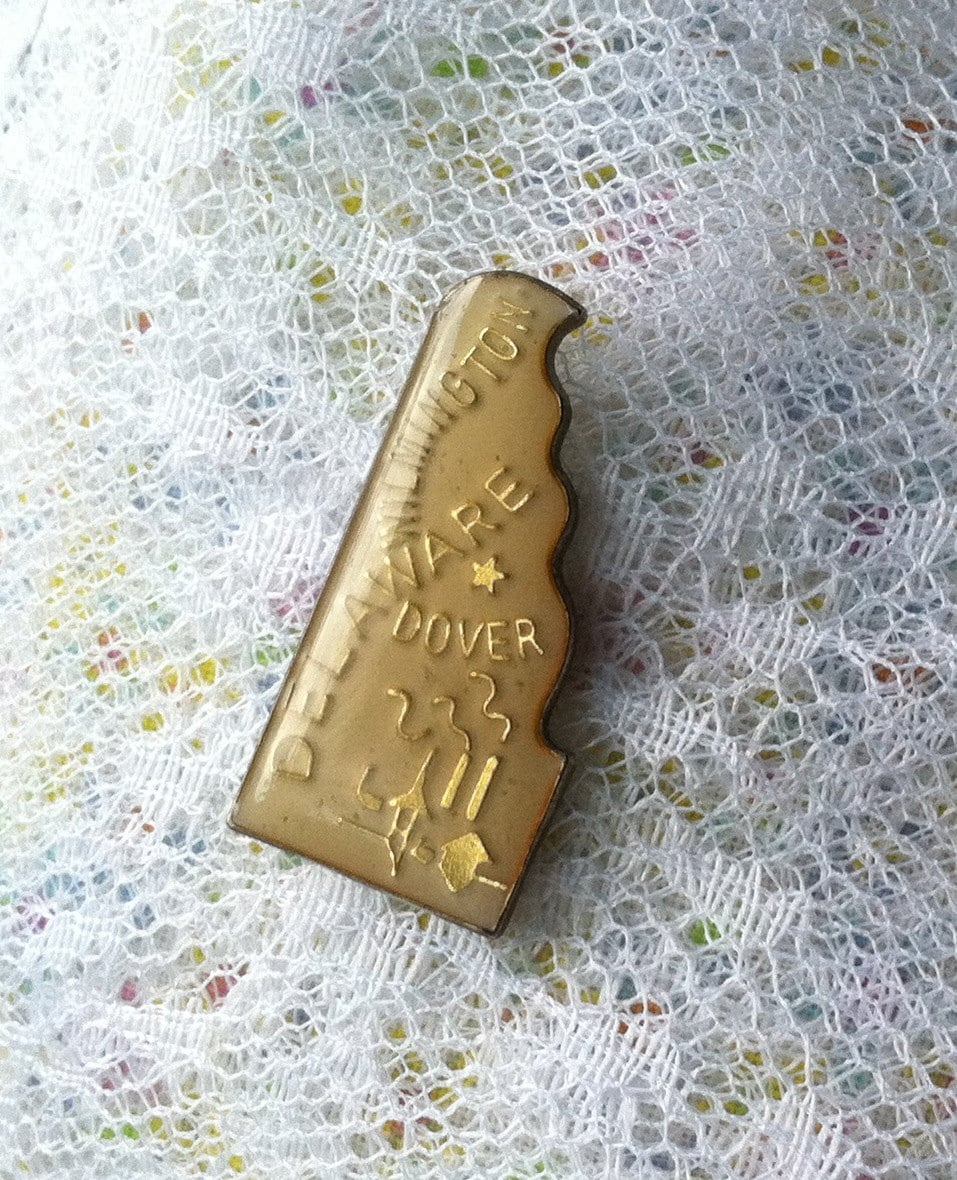 Delaware State Vintage Lapel Pin – Haute Juice