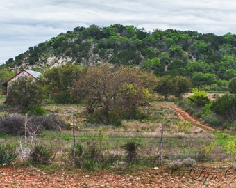 Texas Flowers Nature photography landscape photography