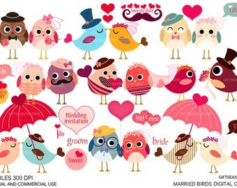 Bird clipart whimsical cute birdies birdhouse eggs sweet