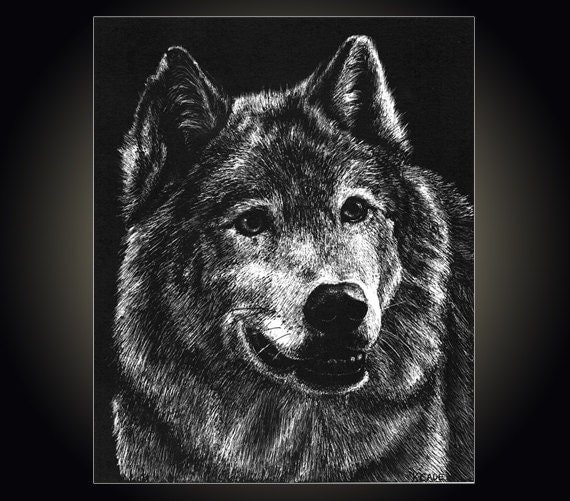 Lithograph print Wolf A pen and ink on