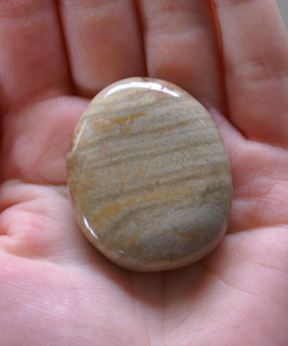 Silver Leaf Jasper Palmstone Palm Stone by crystalinspiration