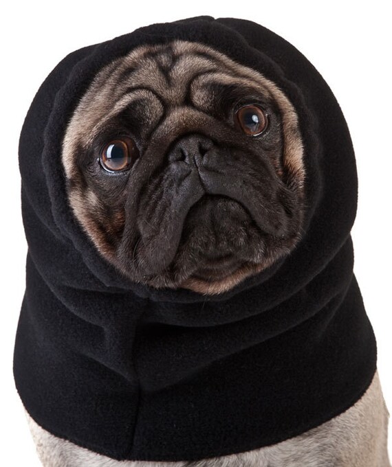 Cagoule chien Carlin par VoyagersK9Apparel sur Etsy