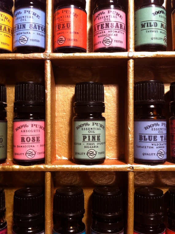 Pine Scotch Essential Oil. Pinus sylvestris Bulgaria 5 by ZOils