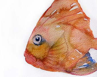 Watercolor painting original. Fish painting. Small by rakla