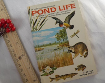 Golden nature guide | Etsy