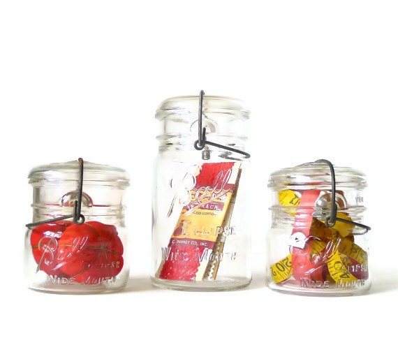 Ball Wide Mouth Eclipse Wire Bail Storage Jars