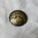 TW&W Paris Back Flaming Bomb Brass Button by thelostrooms on Etsy