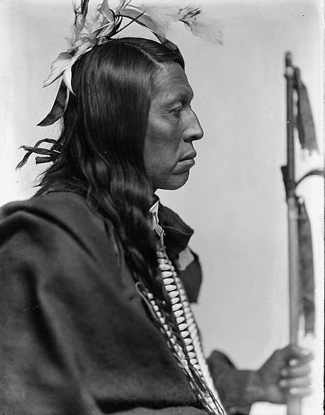 Chief Flying Hawk Native American Indian Chief image print