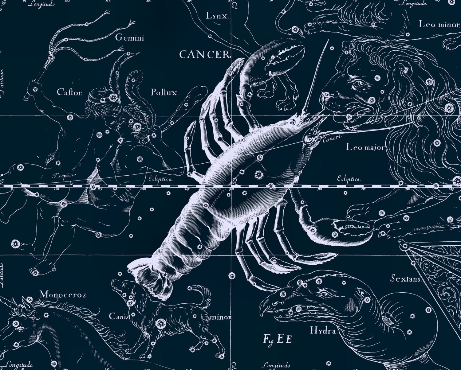 Constellation Of Cancer Zodiac Sign Of The Zodiac